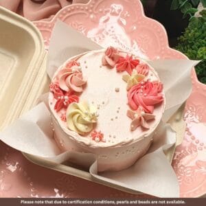 Bento Cakes - The Fab