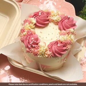 Bento Cakes - The Fab