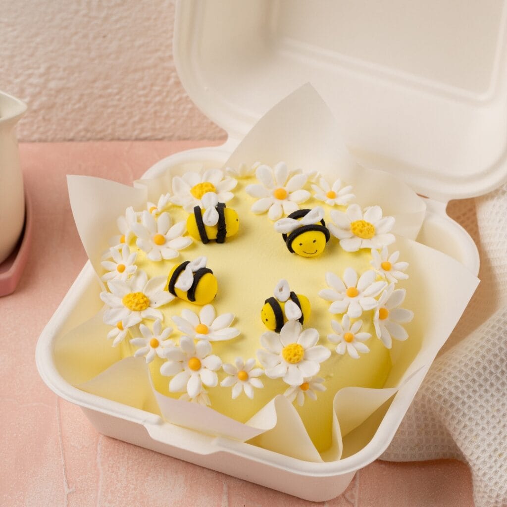 Bento Cakes - The Fab